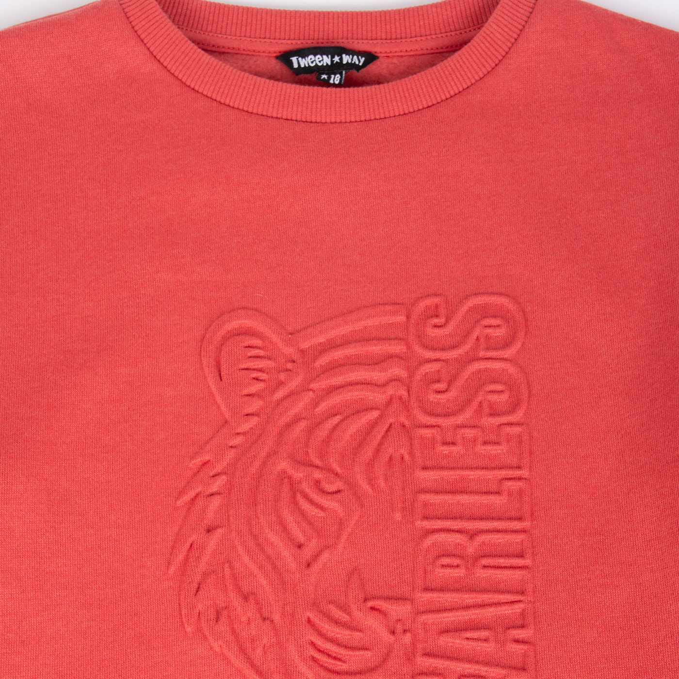 Polerón Niño Pillin Tienda Online - Pillin